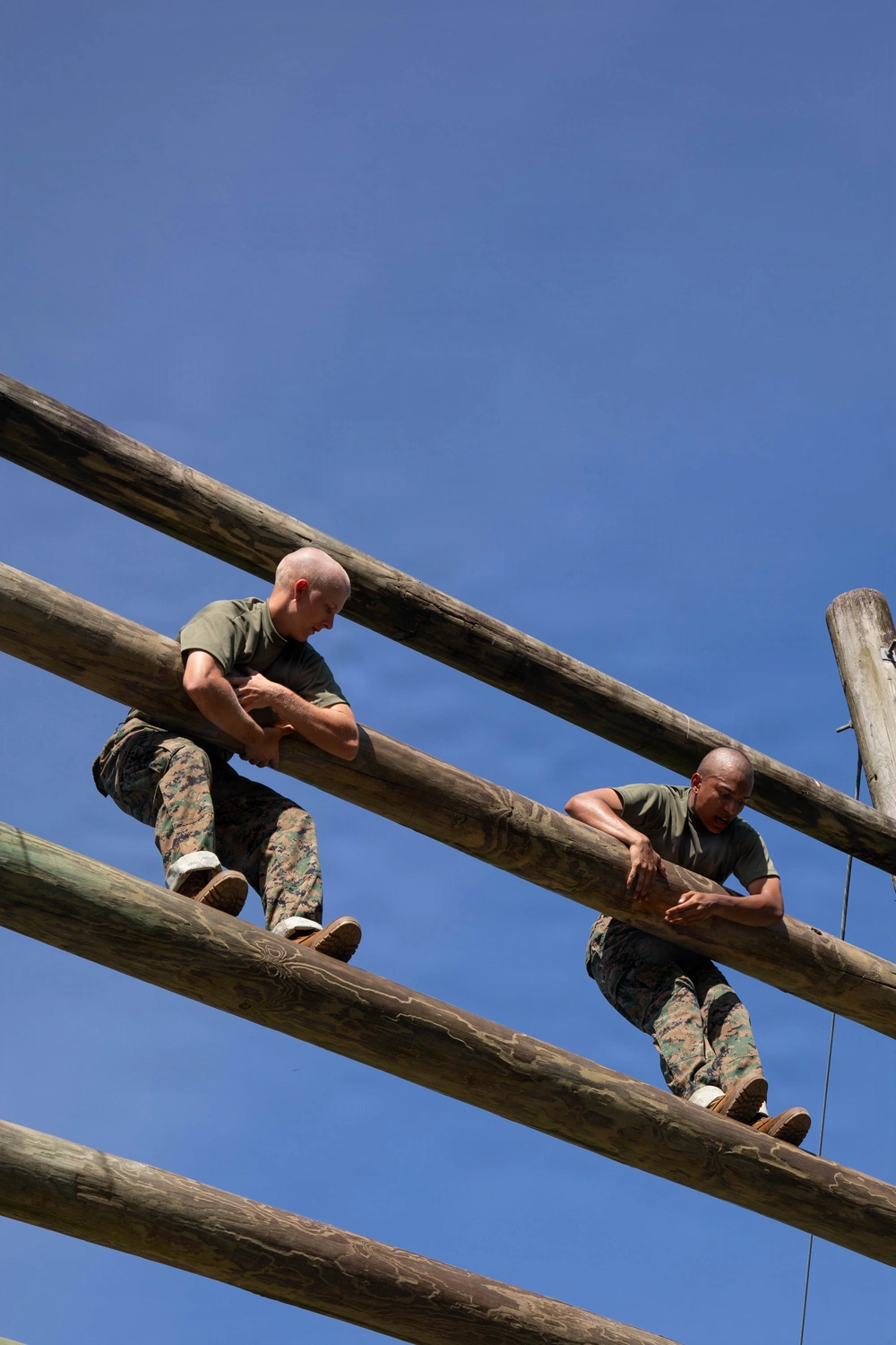 DVIDS - Images - Fox Company Confidence Course [Image 5 of 7]