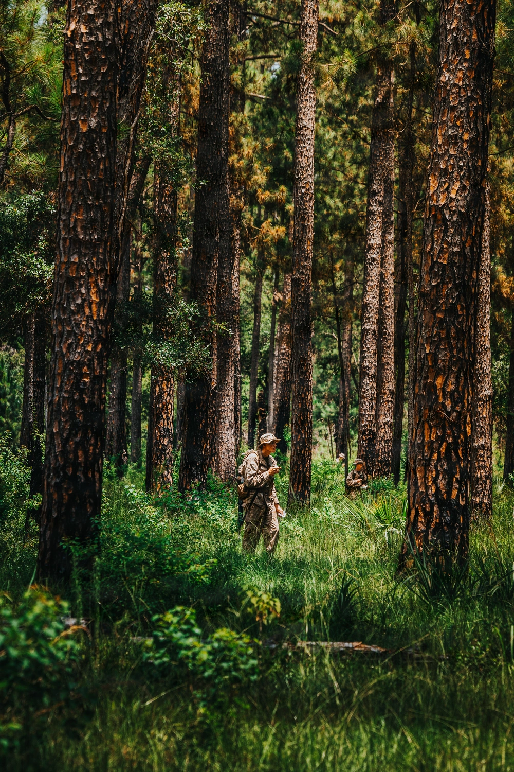 DVIDS - Images - Alpha Company Land Navigation [Image 1 of 7]